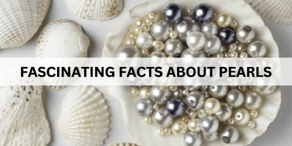 Fascinating Facts About Pearls | Pearl & Clasp